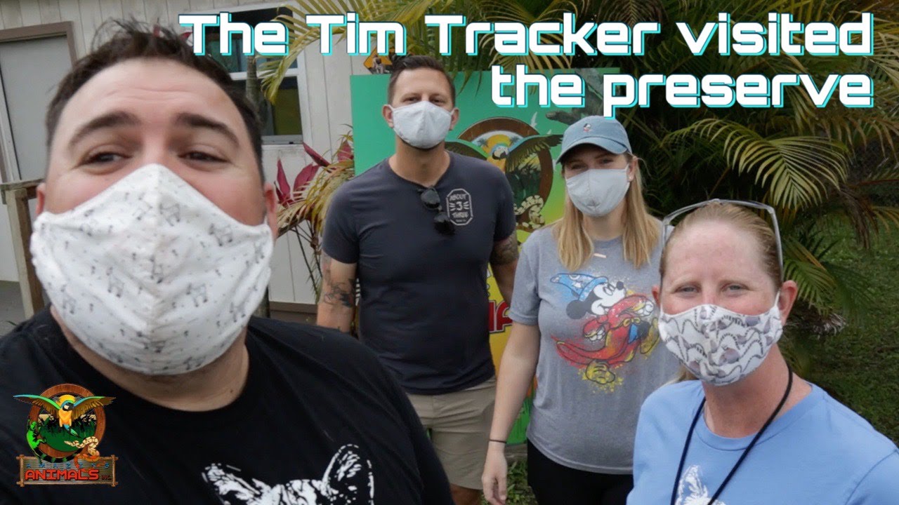 The Tim Tracker came to see our baby Capybaras! - YouTube