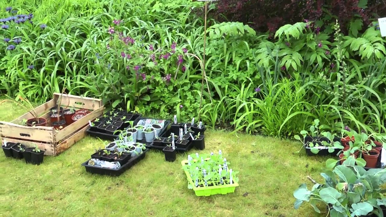 KEMP Hospice Plant Fair - YouTube