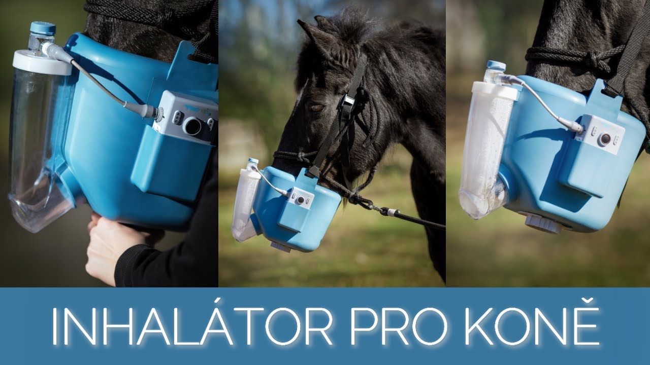 Inhalátor pro koně - Flexineb | EquiStella - YouTube