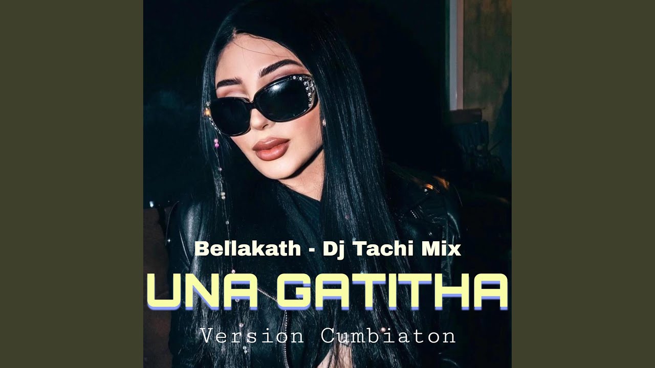 Una Gatita Cumbiaton Youtube Music