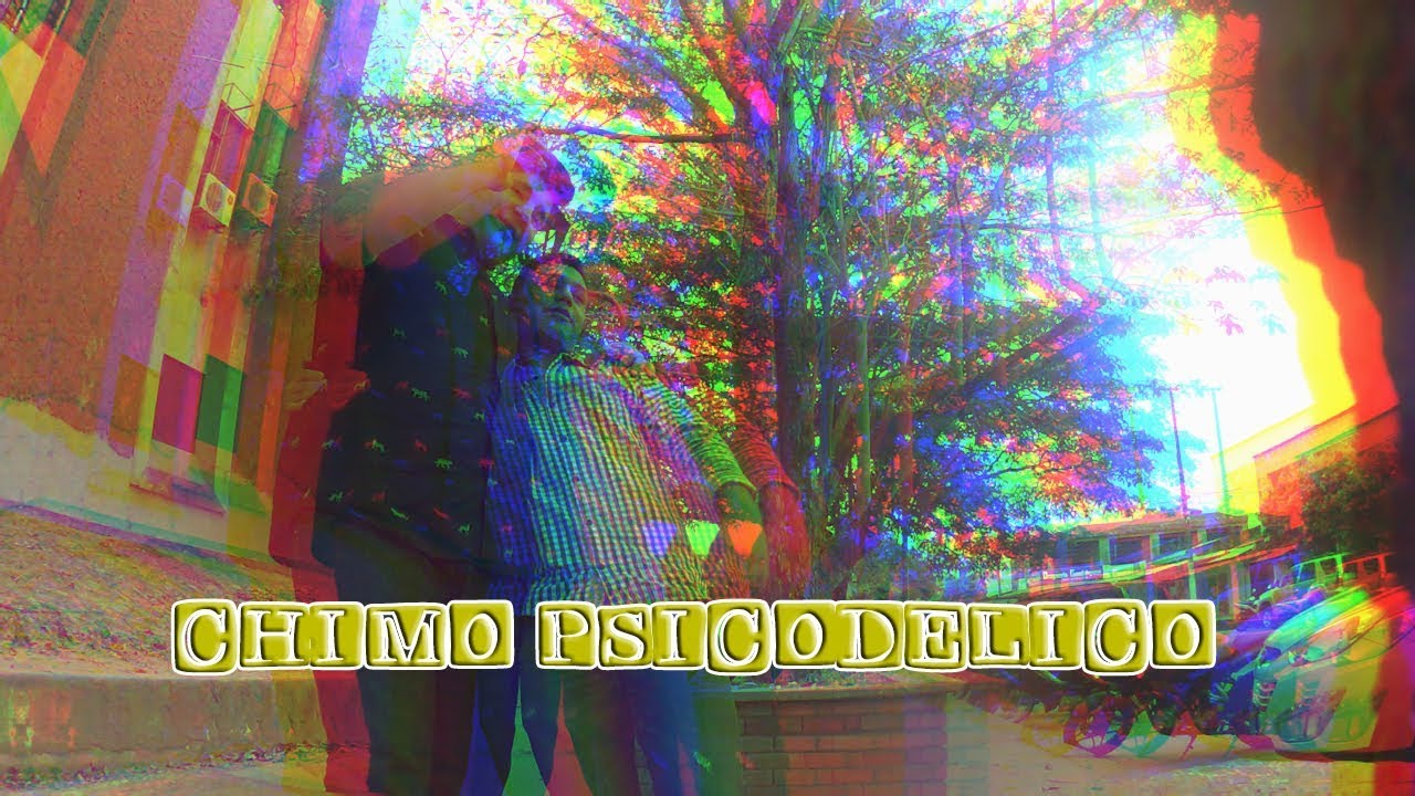 ¿SABIAS QUÉ? DATOS QUE QUIZÁS NO SABIAS DEL CHIMO - YouTube