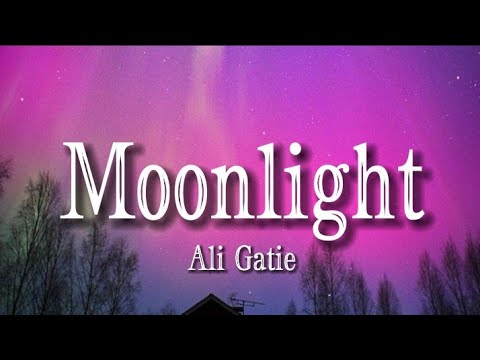 Ali Gatie - Moonlight (lyrics) - YouTube
