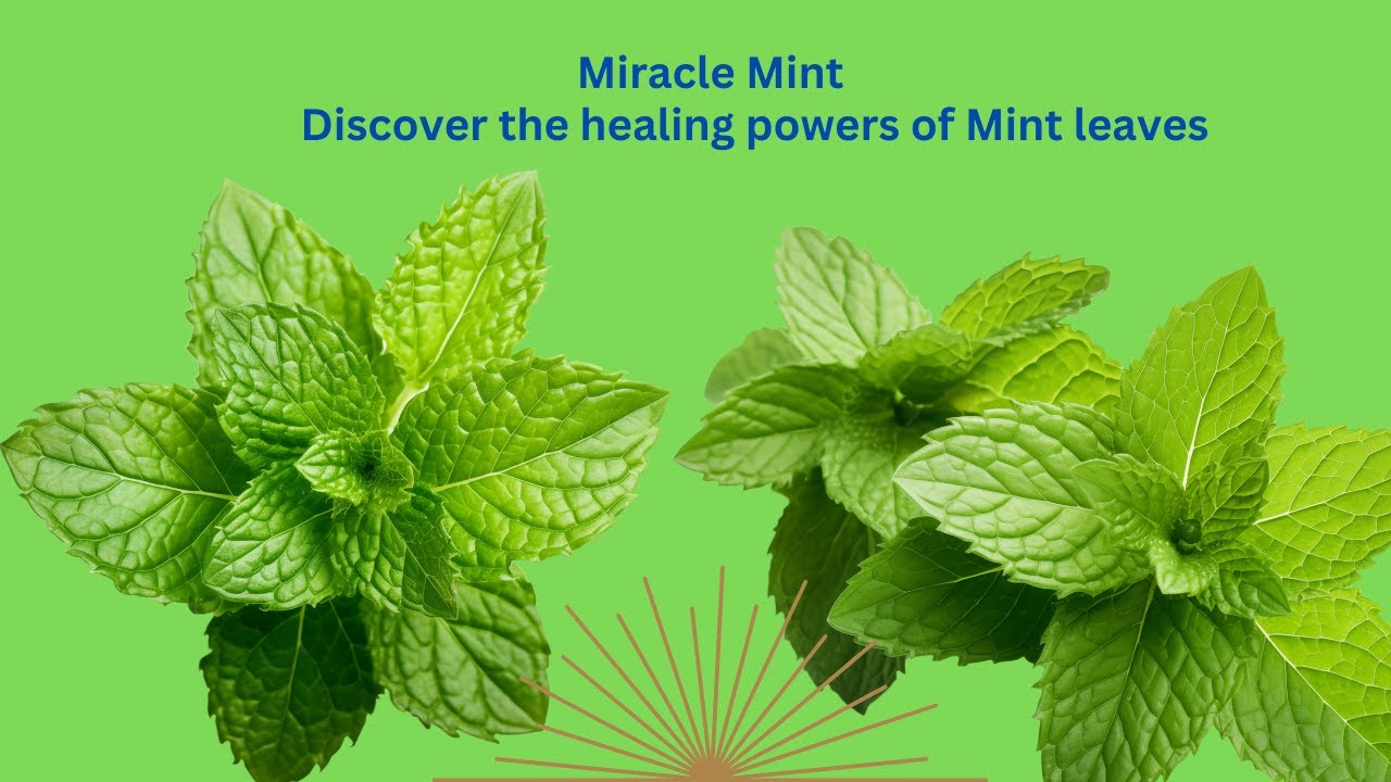 Mint Magic : Surprising Health Benefits You need to know! - YouTube