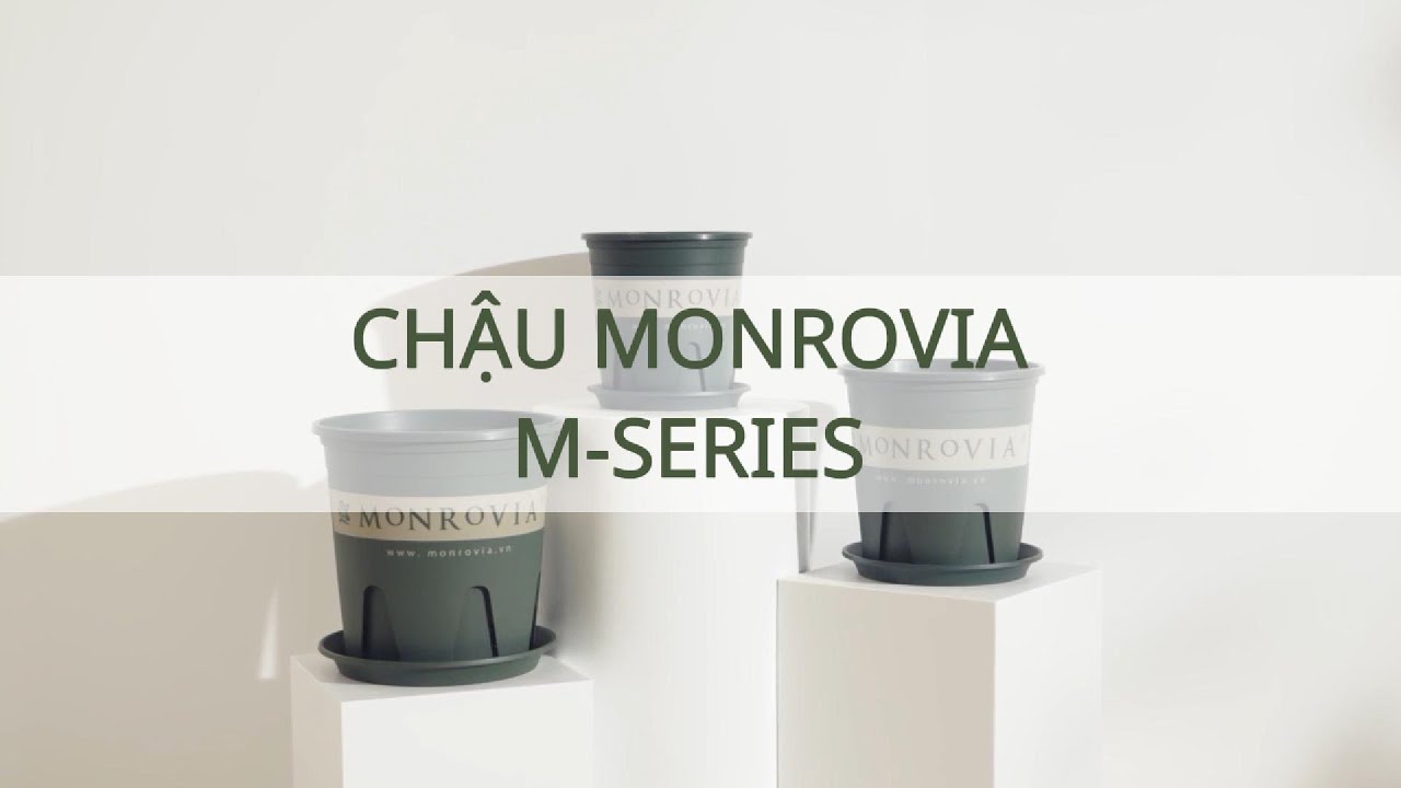 Chậu nhựa trồng cây Monrovia M-series - YouTube