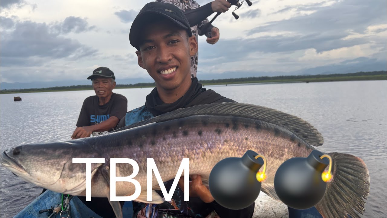 Tasik bukit merah Casting Ikan toman/10ekor/topwater/snakehead fish/c&r ...
