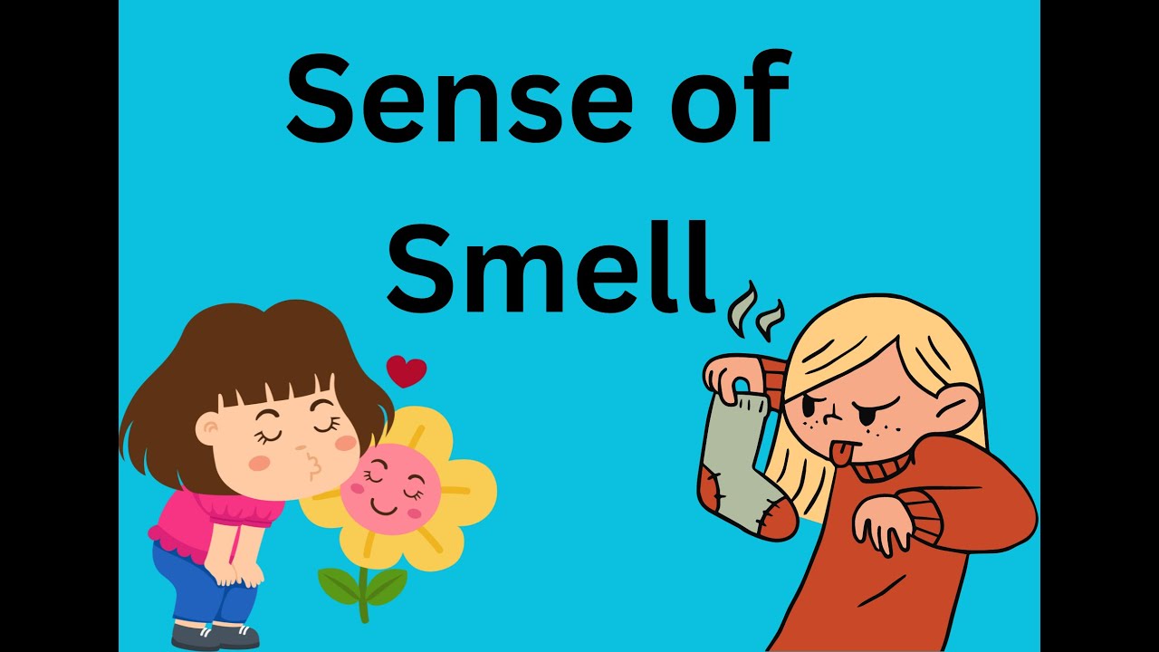 Sense of smell | Five Senses | Nose and Smell | How we can Smell? - YouTube