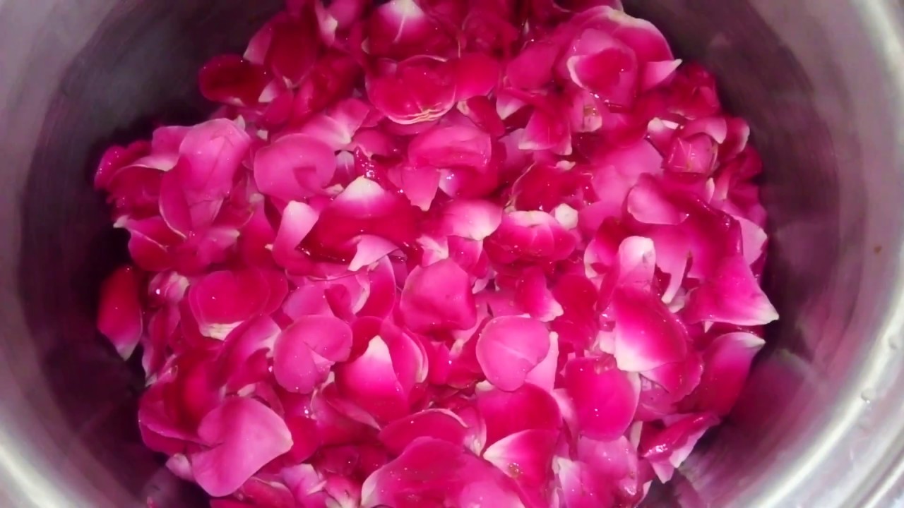 Gulab Ke Phool ka Sharbat - YouTube