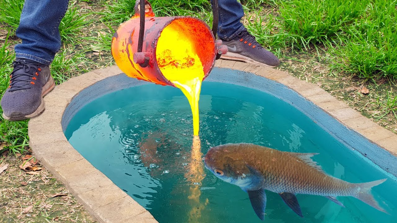 Lava vs Fish Herring in Pool - YouTube