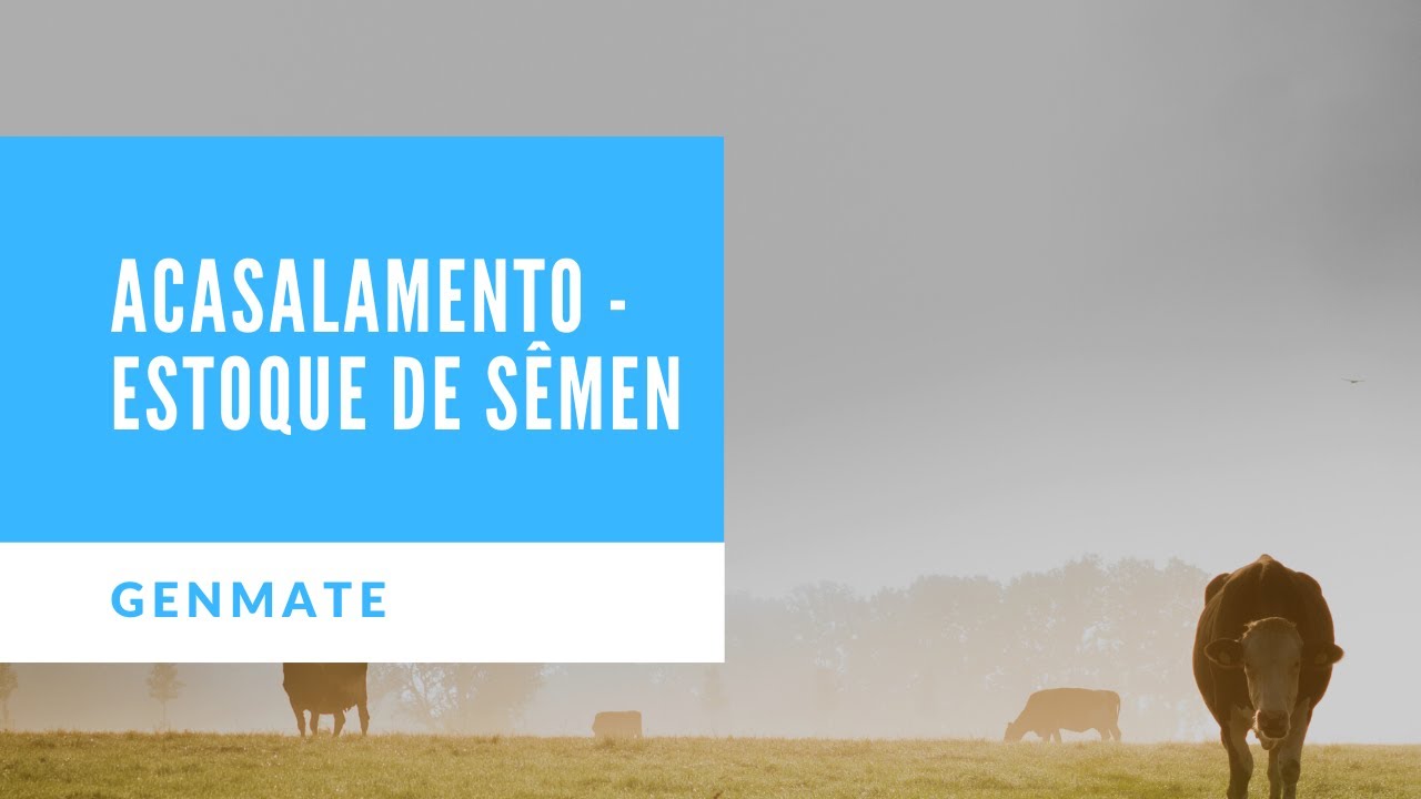 Acasalamento - Estoque de Sêmen - YouTube