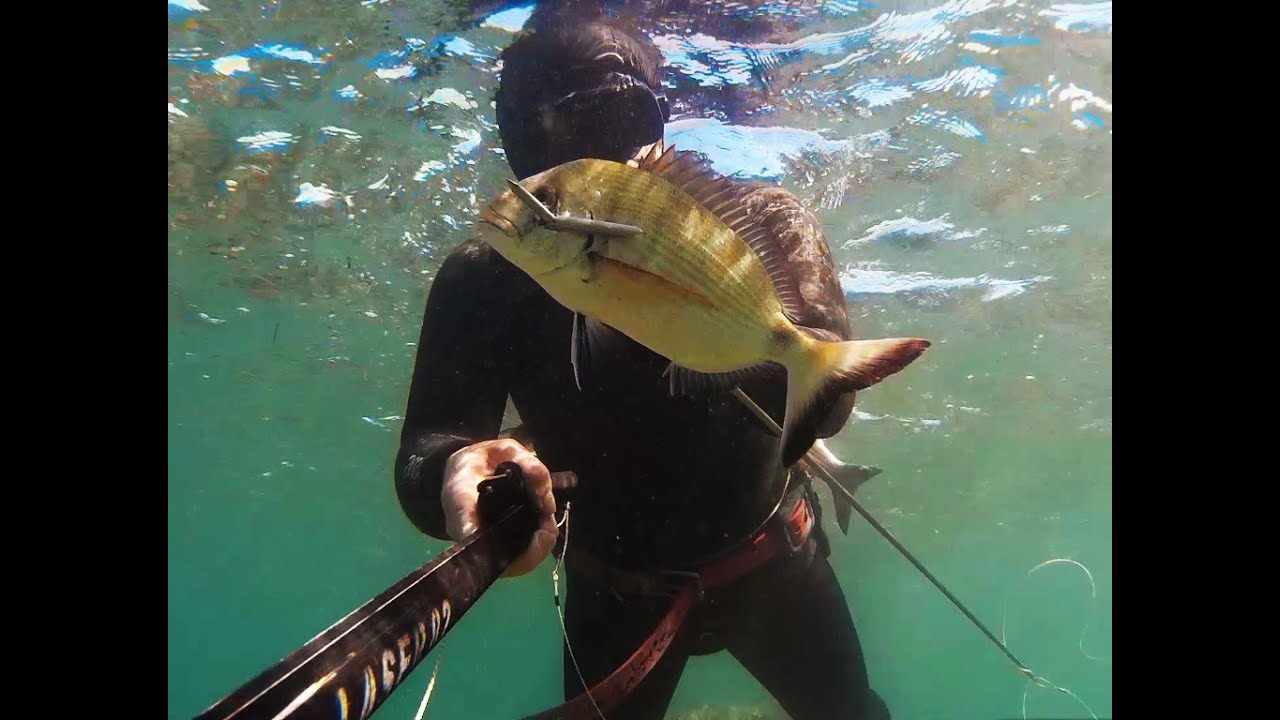 Spearfishing: Shallow Water Ambush (Ρηχο Καρτερι) - YouTube
