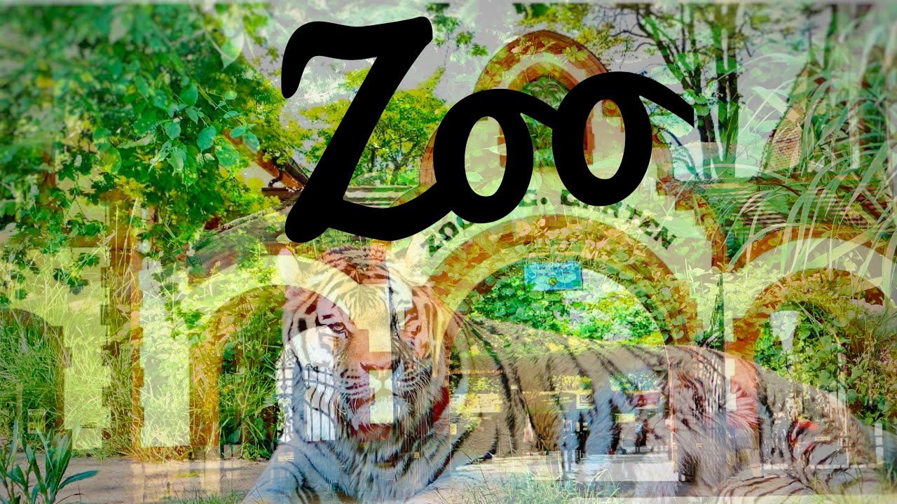 leipzig Zoo ;Der Leipziger Zoo ist der beste Zoo Europas - YouTube