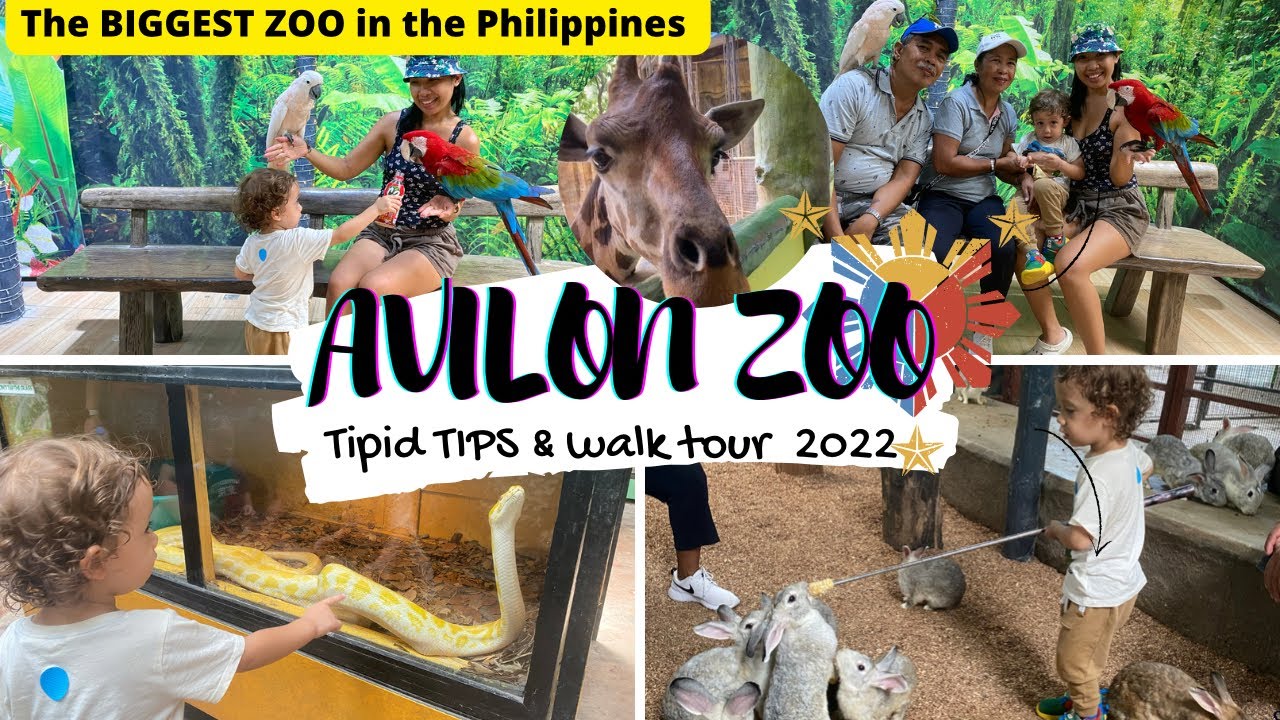 AVILON ZOO THE BIGGEST ZOO IN THE PHILIPPINES | TIPID TIPS, WALK TOUR ...