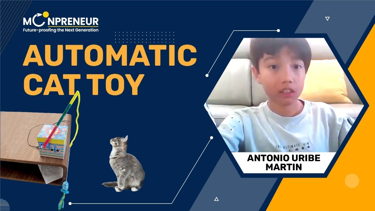Automatic Cat Toy: DIY Project with Ultrasonic Sensor and Servo Motor ...