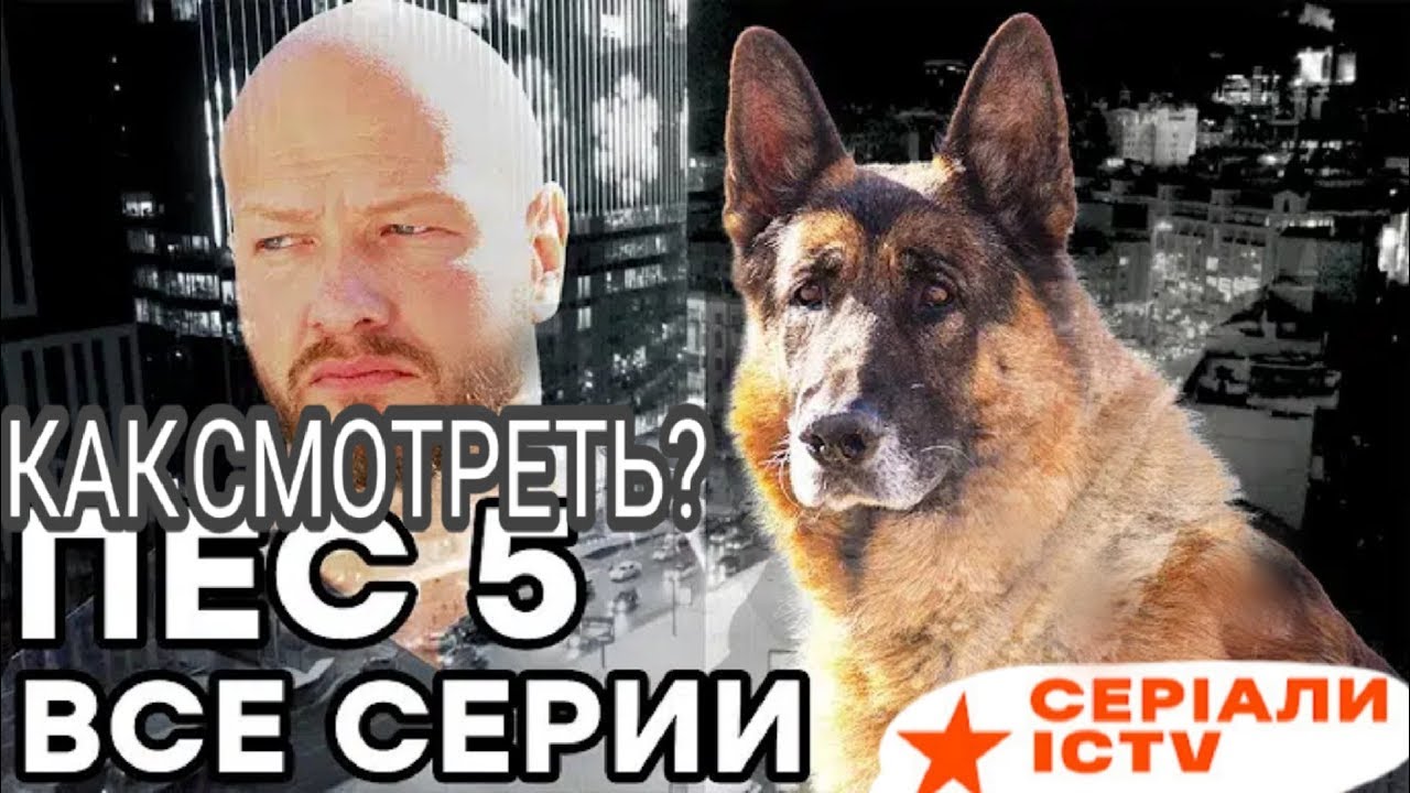 КАК СМОТРЕТЬ ВСЕ СЕРИИ ПЕС 5 СЕЗОН ОНЛАЙН БЕСПЛАТНО??? - YouTube