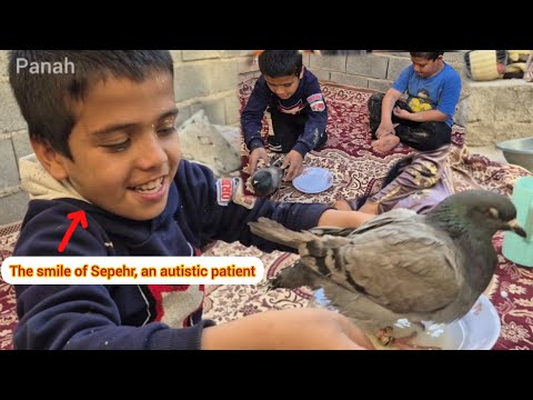 The day the pigeon brought smiles back to the world of autism... 🕊️❤️