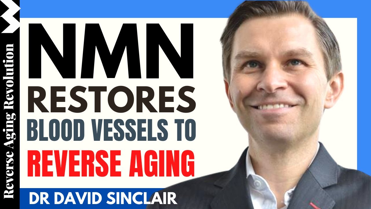 DAVID SINCLAIR ” NMN Restores Blood Vessels To Reverse Aging” | Dr ...