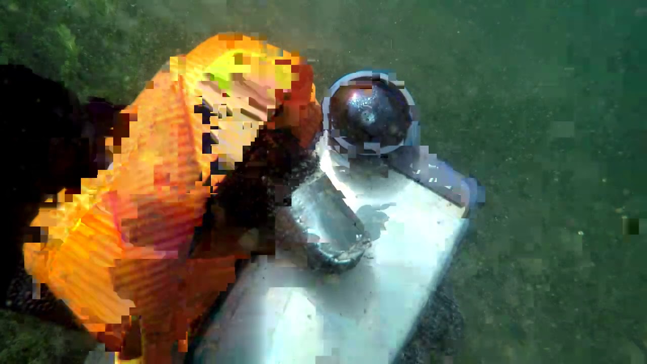 Exploring the exit of Donner Lake and Treasure Hunt, beautiful: above ...