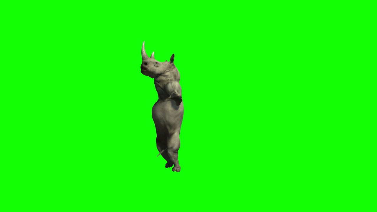 African Dancing Animals Free Green Screen Animation - YouTube