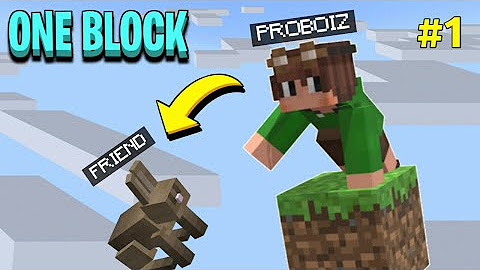 Minecraft One Block Series - YouTube