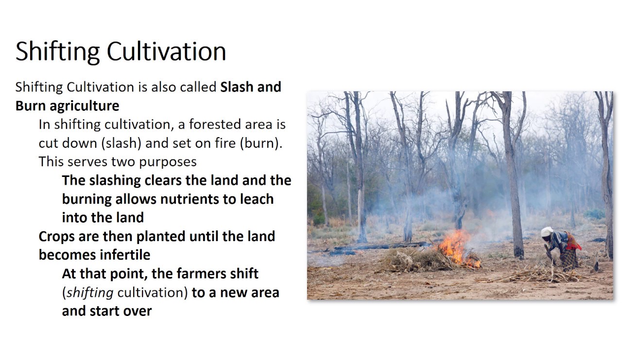 Extensive Agriculture - YouTube