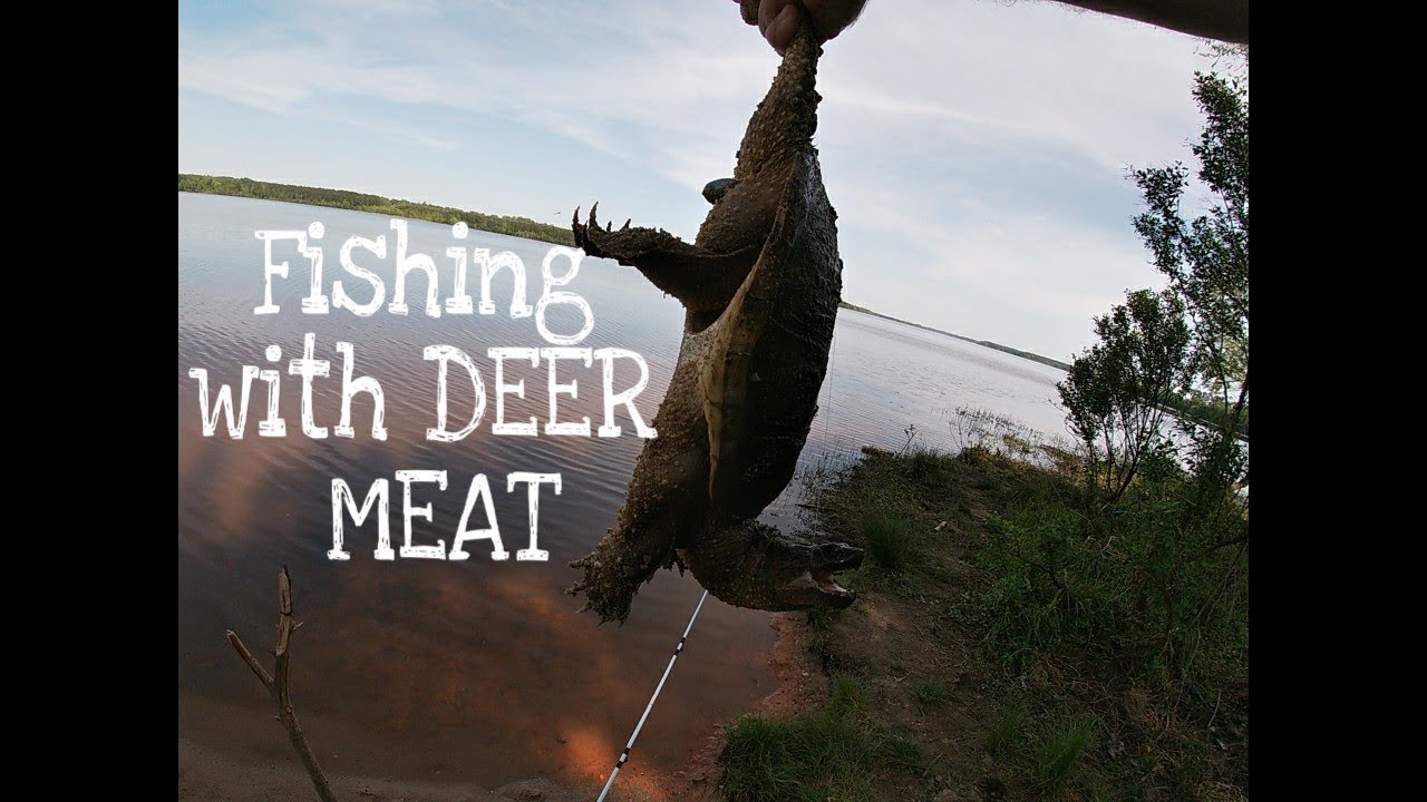 Fishing with deer meat (Venison) - YouTube