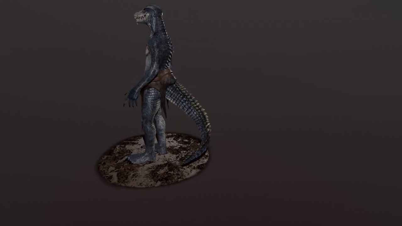 Crokodan Warrior Turnaround 1 - YouTube