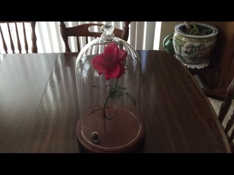 Beauty And The Beast Enchanted Rose Prop