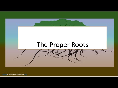 The Proper Roots - December 11, 2022 PM - By: Micah Webb - YouTube