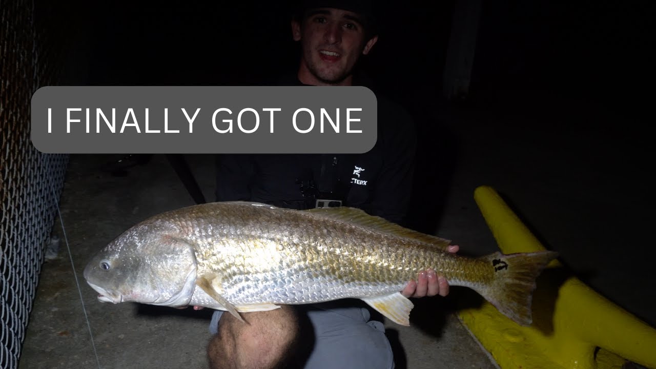 I FINALLY CAUGHT ONE!!! - YouTube