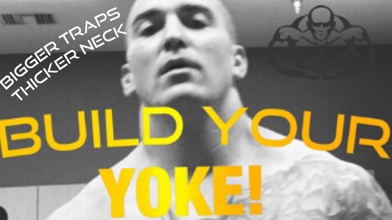 Build your YOKE! Big Traps, big neck.. 3 Ways to Get That Power Look ...