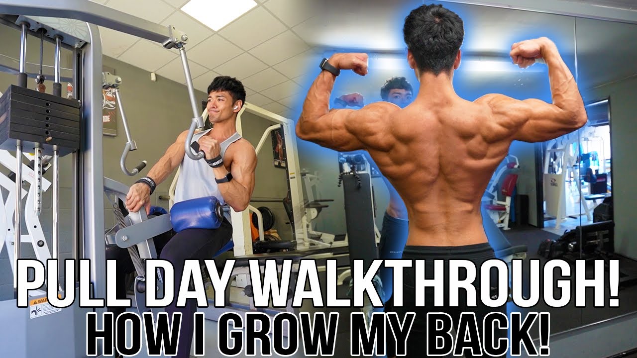 HOW I GREW MY BACK! | PULL DAY Walkthrough - YouTube