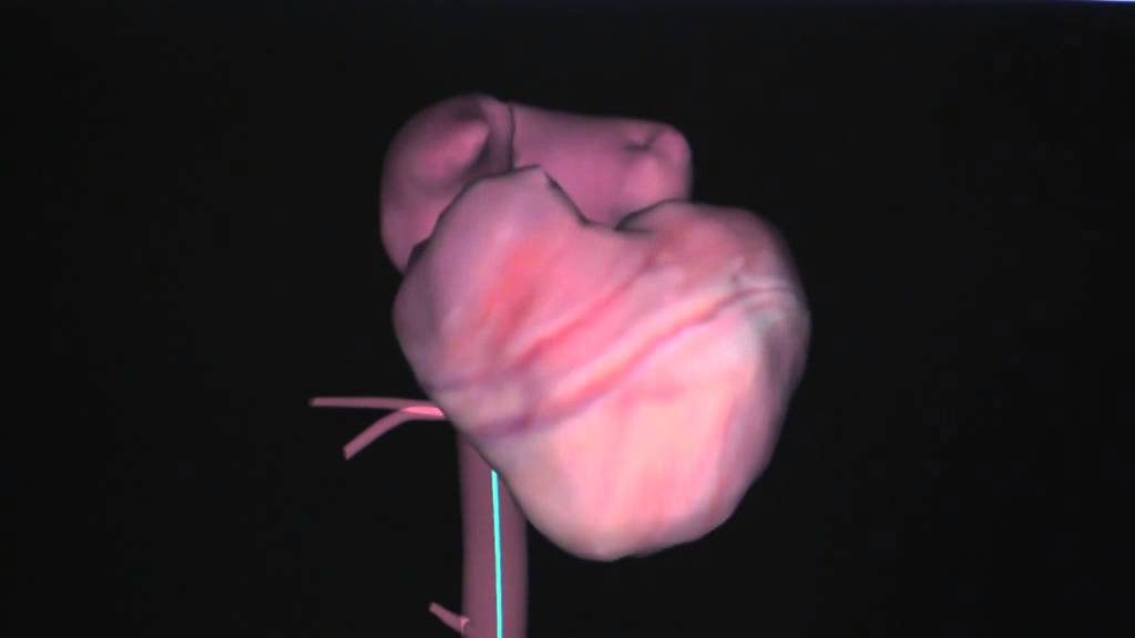 Histoire d'un thésard : Hugo Talbot - YouTube