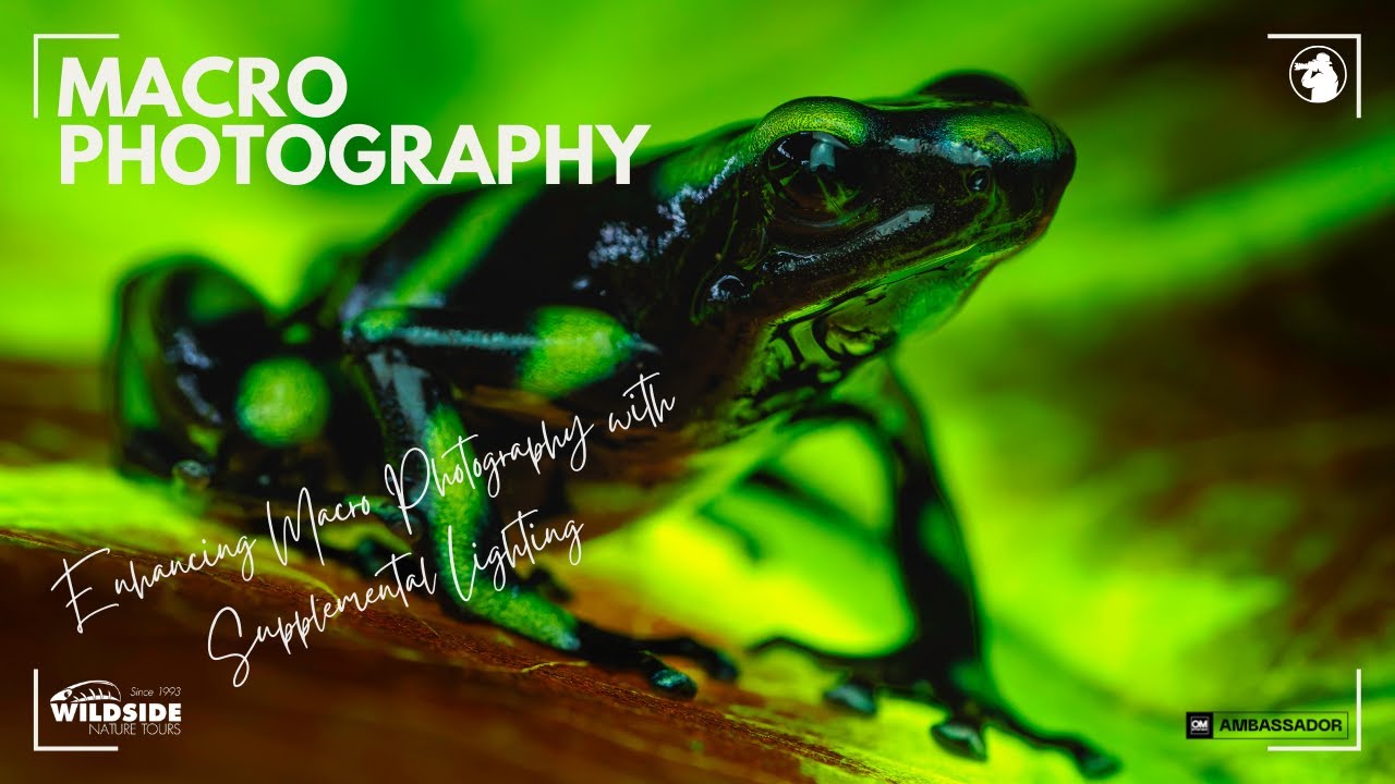 Macro Photography and Non-Flash Supplemental Lighting - YouTube