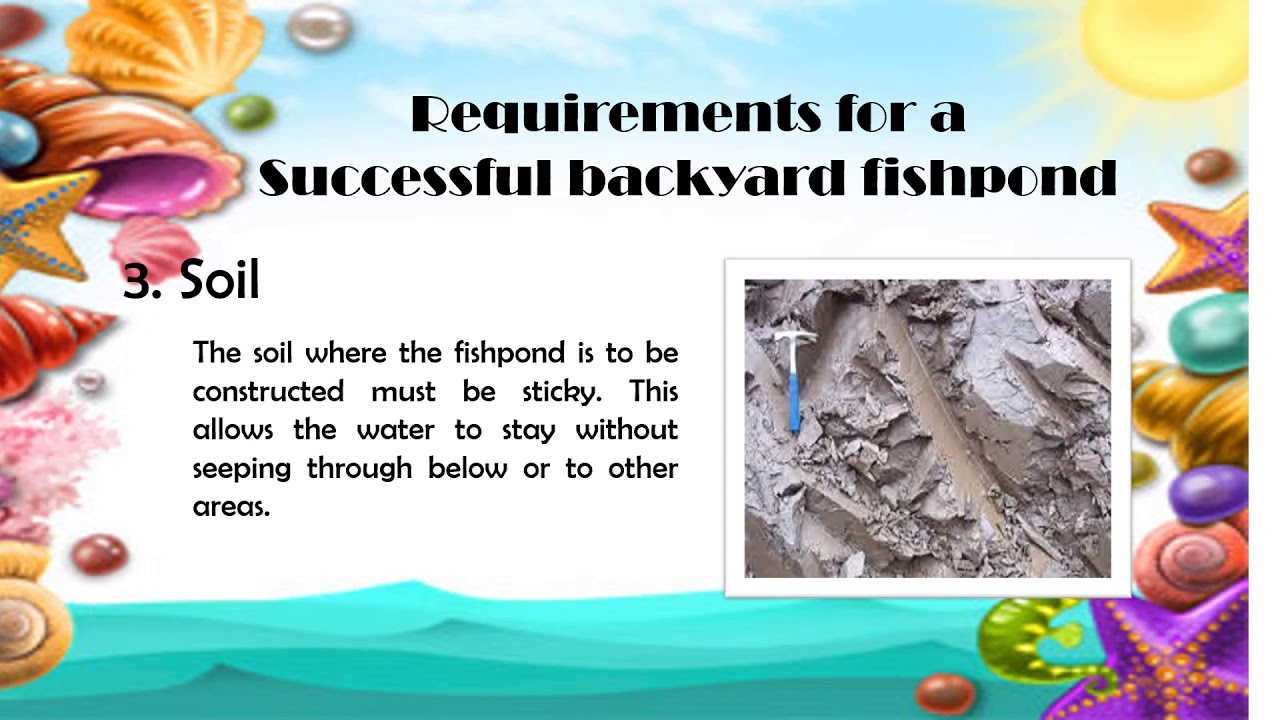 Requirements for a Successful Backyard fishpond - YouTube