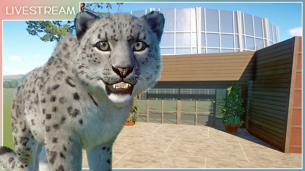 Snow Leopard Habitat | River Rock Zoo | Planet Zoo Livestream - YouTube