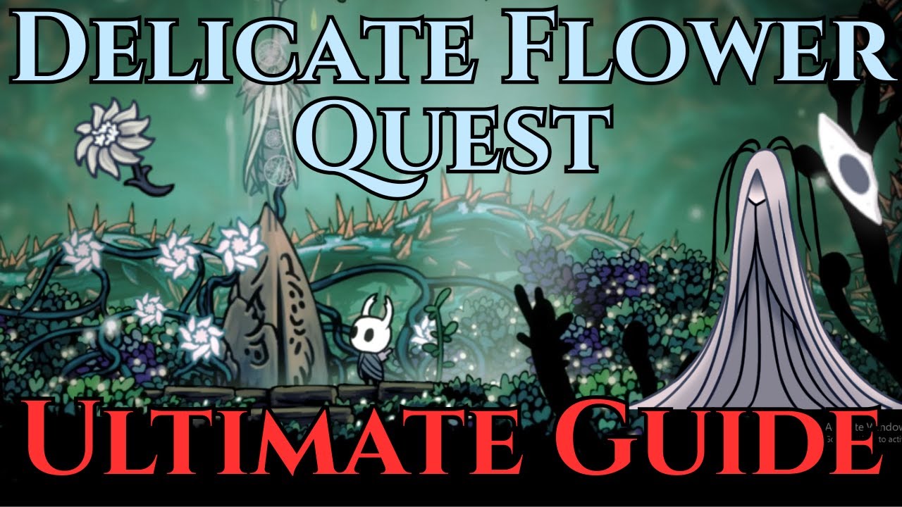 Delicate Flower Quest - Hollow Knight Guide (Full Walkthrough) - YouTube