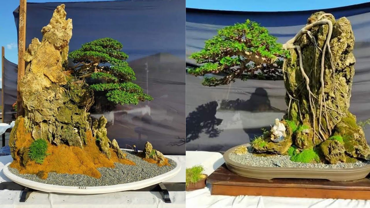INSPIRASI BONSAI ON THE ROCK AND PENJING - YouTube