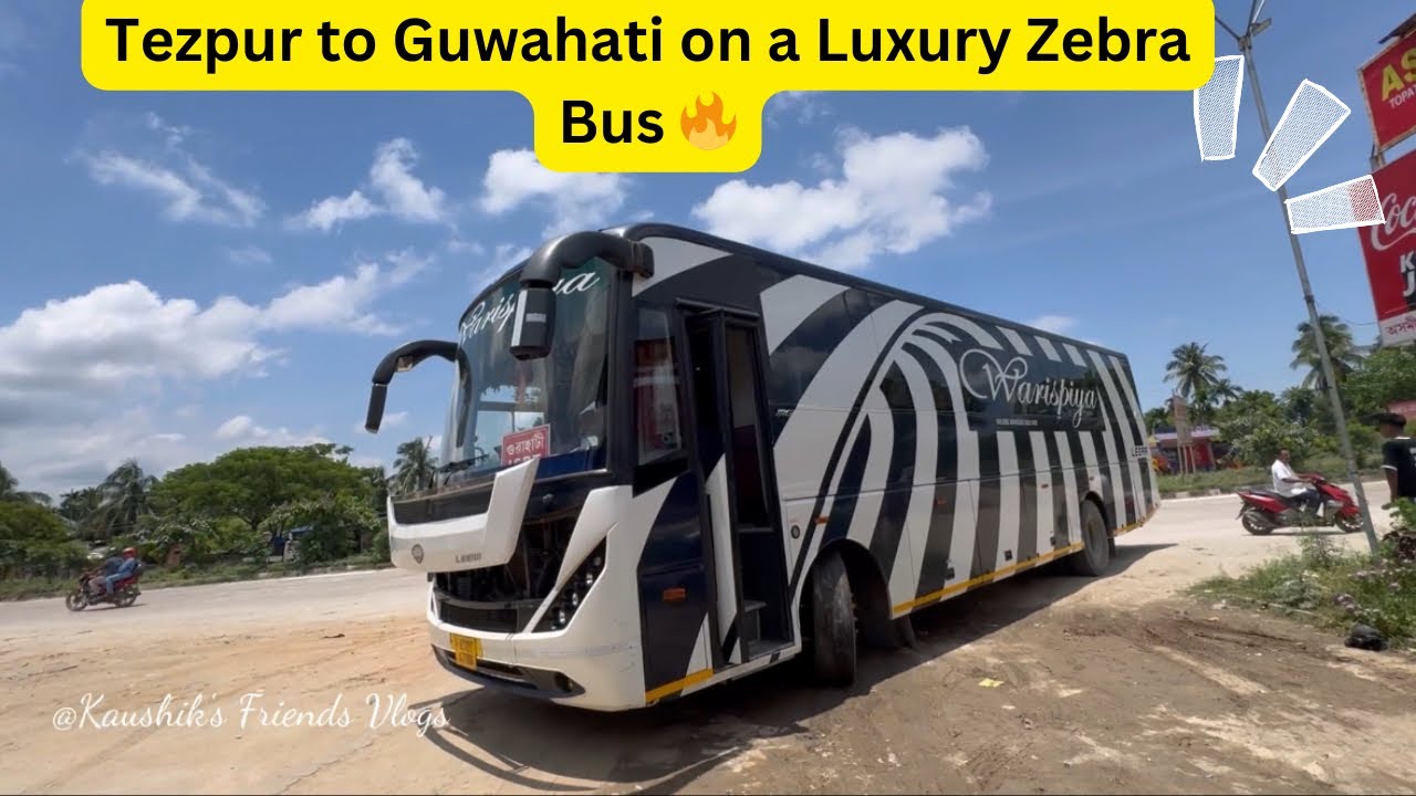 Tezpur to Guwahati Bus Journey in 2x2 Luxuy Zebra Bus🔥 - YouTube