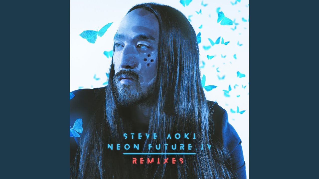 Are You Lonely (Steve Aoki Remix) - YouTube