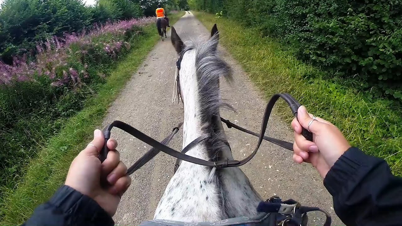 Sunshine Riding School - Horse Riding GoPro - YouTube