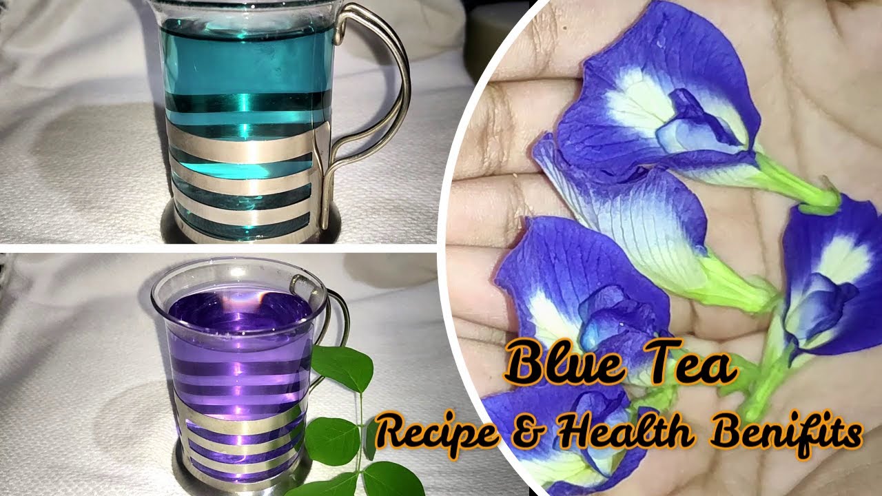 BLUE TEA II HOW TO MAKE BLUE TEA II IMMUNITY BOOSTER II SUGAR CONTROL ...