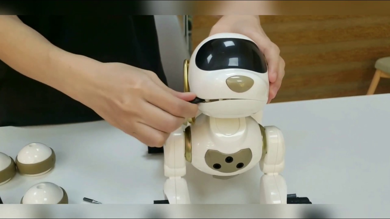 Disassembly electronic toy dog - YouTube