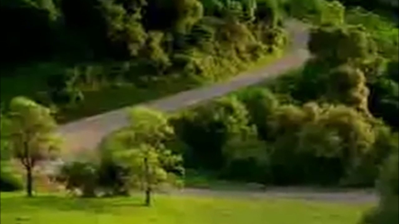 K Fee Zombie, Make go Scream - YouTube