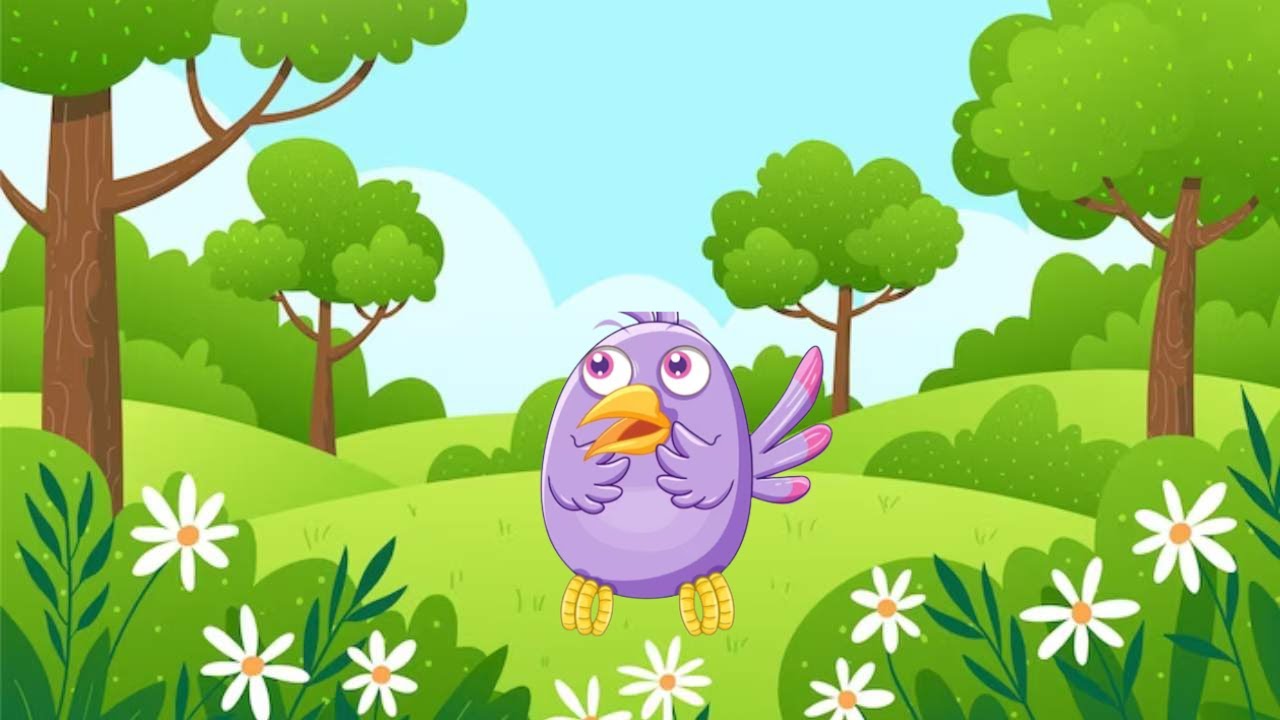 Passarinho chorão - YouTube