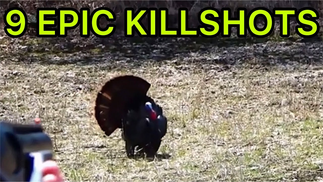 9 Epic Turkey Hunts in 5 Minutes! (Thanksgiving Special) - YouTube