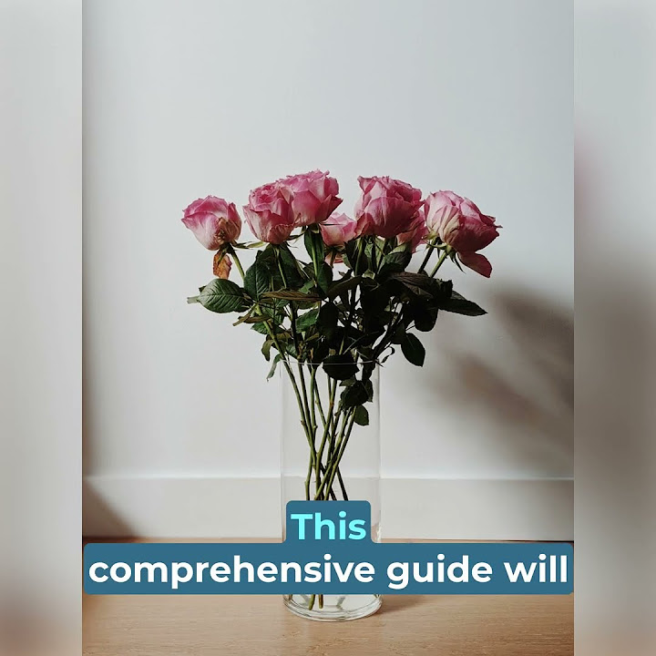 Mastering Python Decorators: A Comprehensive Guide - YouTube