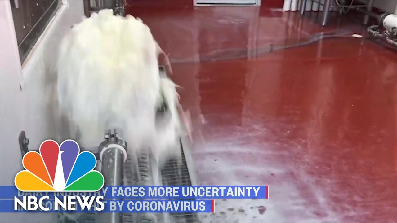 Dairy Farmers Forced To Dump Milk Say It’s ‘Devastating’ | NBC News NOW ...