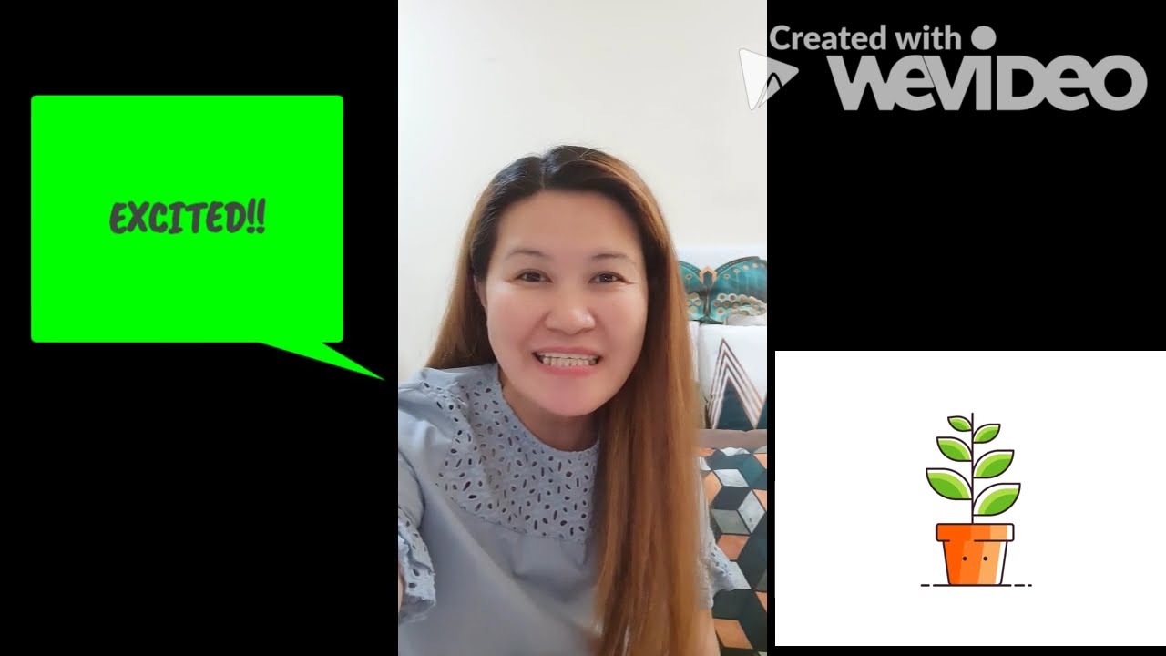 Plant Life Cycle (Mung Beans) - YouTube