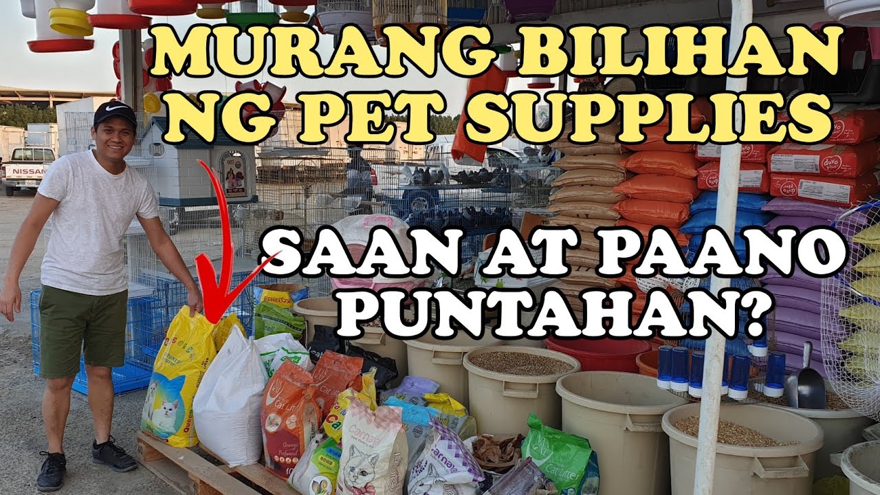 MURANG BILIHAN NG PAGKAIN AT GAMIT PARA SA PUSA AT ASO, SAAN ITO ...