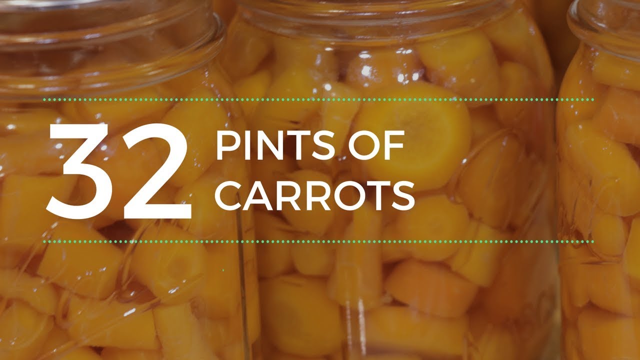 32 Pints of CARROTS!!! Canned in ONE Day! - YouTube